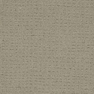 The Best 6 Carpet Types For Your Home | Alma Homes