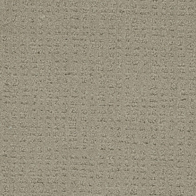 The Best 6 Carpet Types For Your Home | Alma Homes